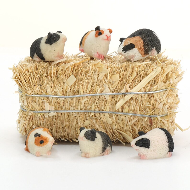 PAIR of Miniature Guinea Pigs Fairy Garden Guinea Pig Fairy - Etsy UK