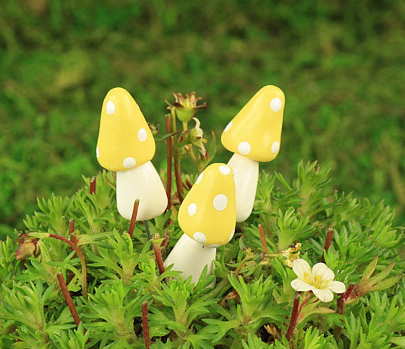 Set of 3 Woodland Mushrooms Fairy Garden Mushrooms Fairy - Etsy