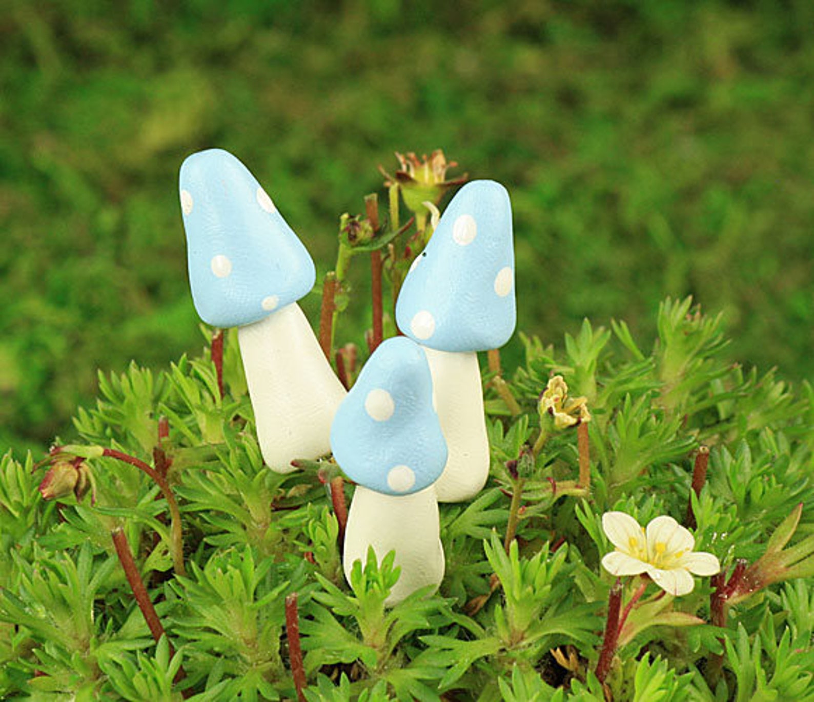 Set of 3 Woodland Mushrooms Fairy Garden Mushrooms Fairy - Etsy