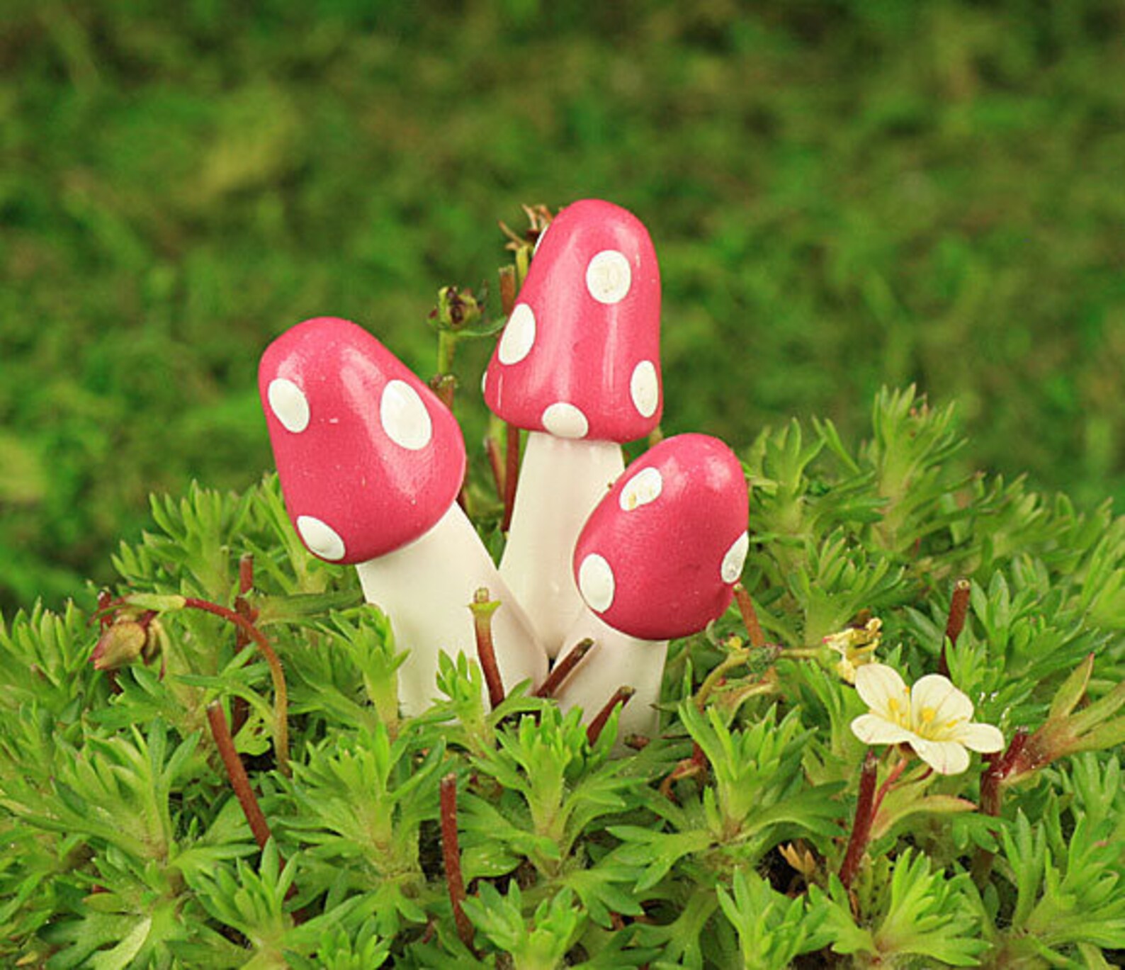 Set of 3 Woodland Mushrooms Fairy Garden Mushrooms Fairy - Etsy UK