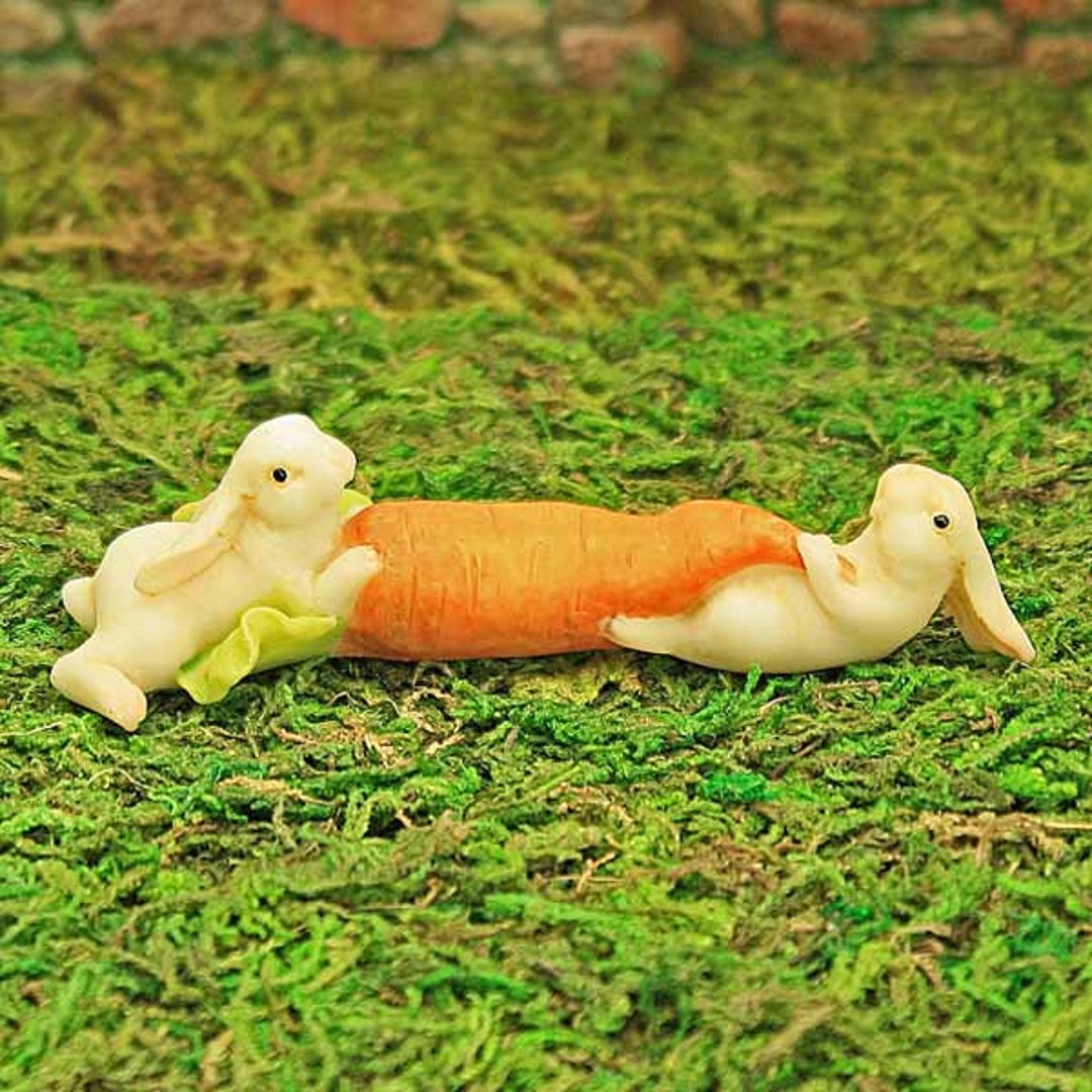 Bunnies With Carrot, Bunnies Pushing Carrot, Rabbit and Carrot, Rabbit ...