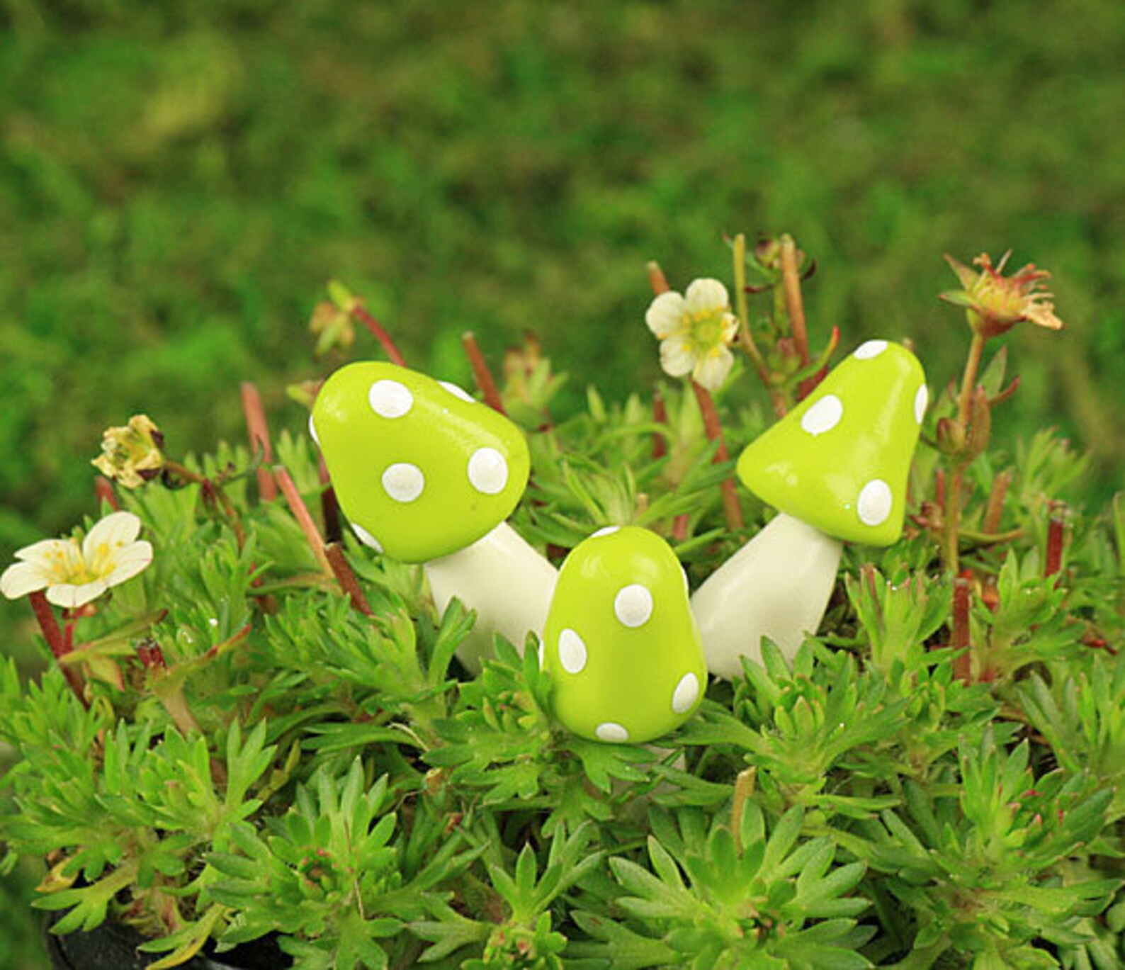 Set of 3 Woodland Mushrooms Fairy Garden Mushrooms Fairy - Etsy