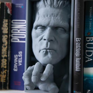 Frankenstein Monster Bookend, Book Nook, Unique Horror Gift, Horror ...