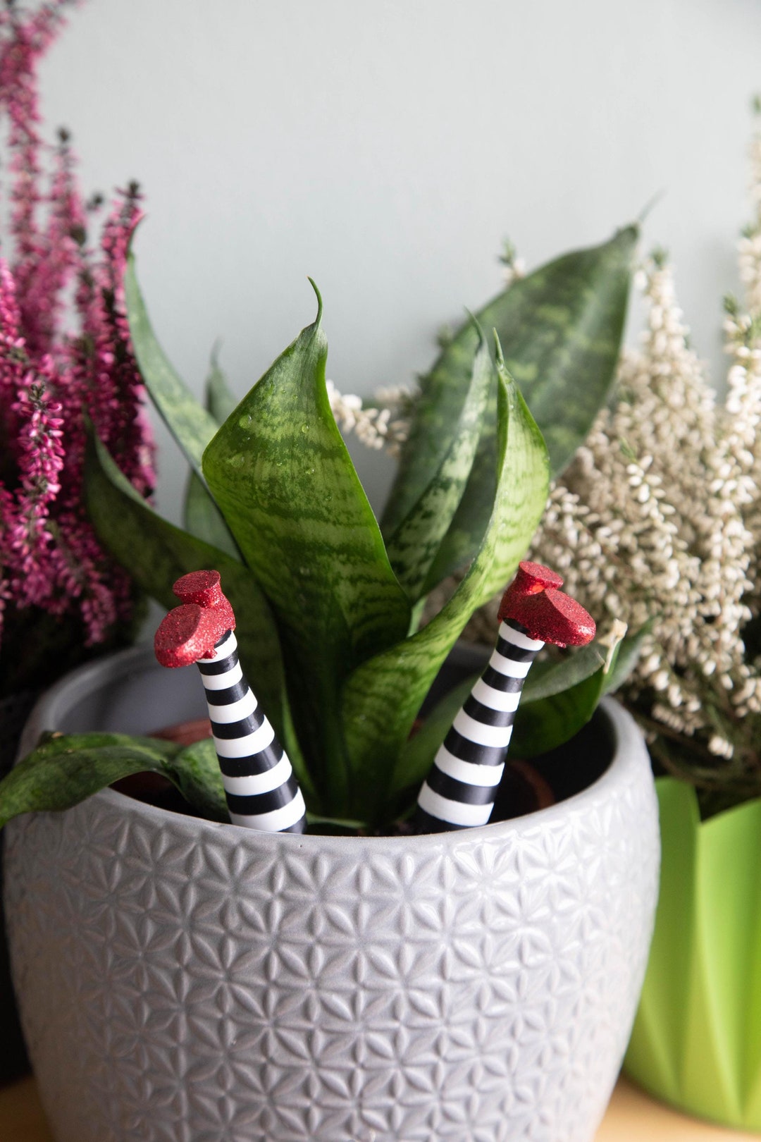 Wicked Witch of the East Legs Plant Pot Feet, Wizard of Oz, Ruby ...