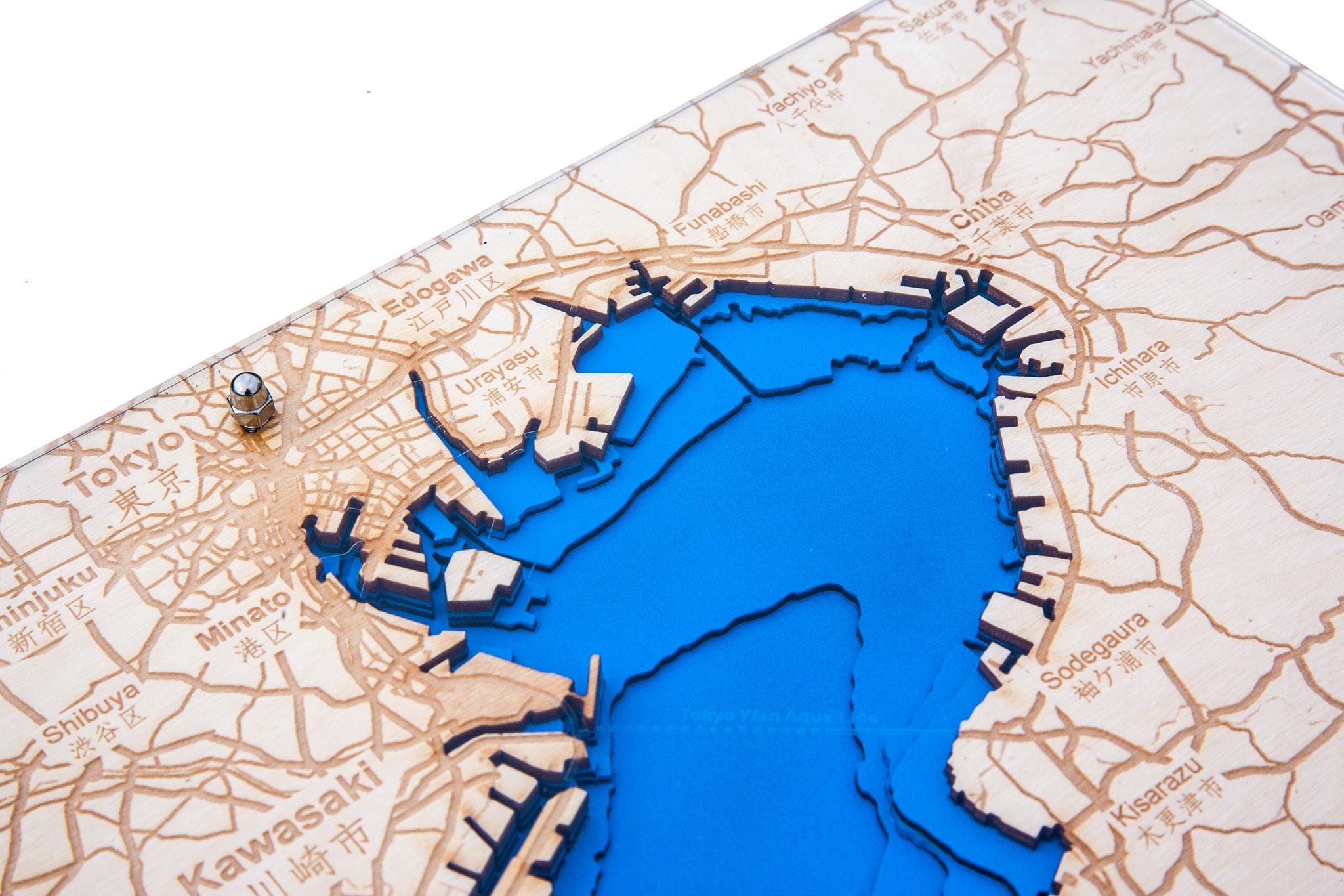 Tokyo Bay 東京湾 16x 16 3D Bathymetry-topographic / | Etsy