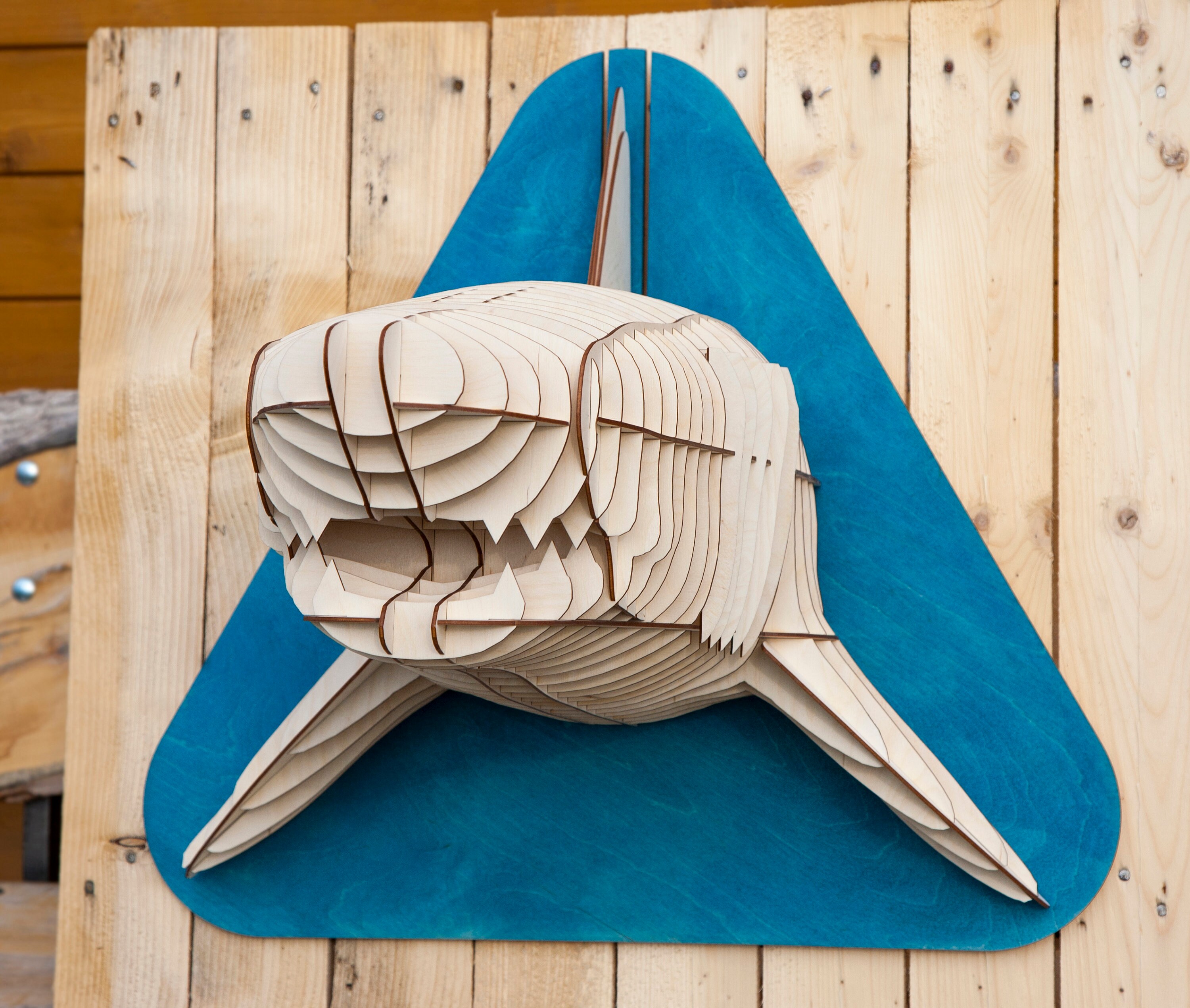 Wooden Shark Head 3D, Wood Shark Trophy - Home Decor, Animal Art - Etsy