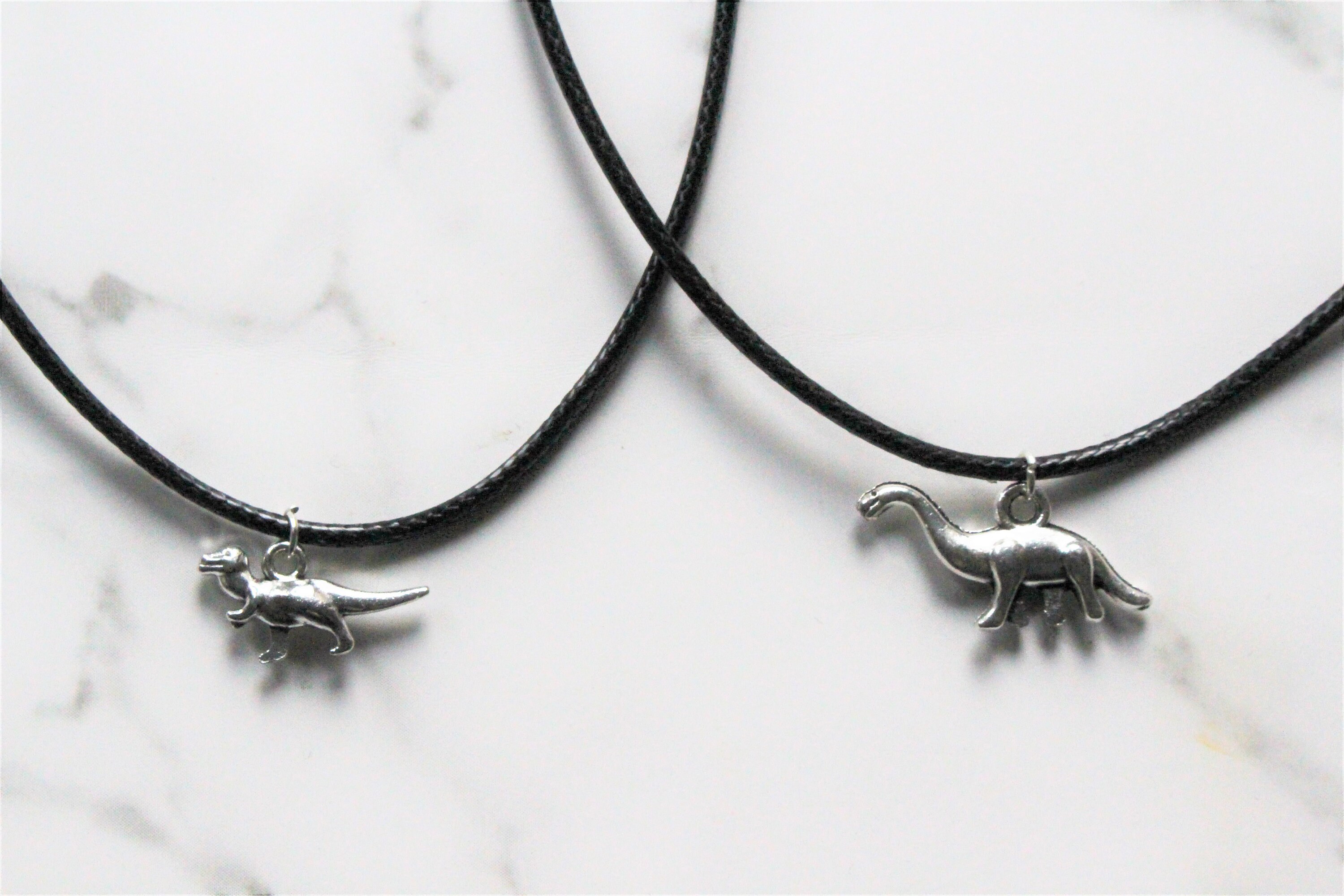 Dinosaur Necklace Set Friendship Matching Jewellery T-Rex | Etsy