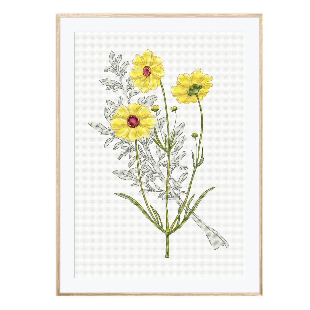 Perennial Dyer's Coreopsis Flowers Botanical Art 19 Century Cross ...
