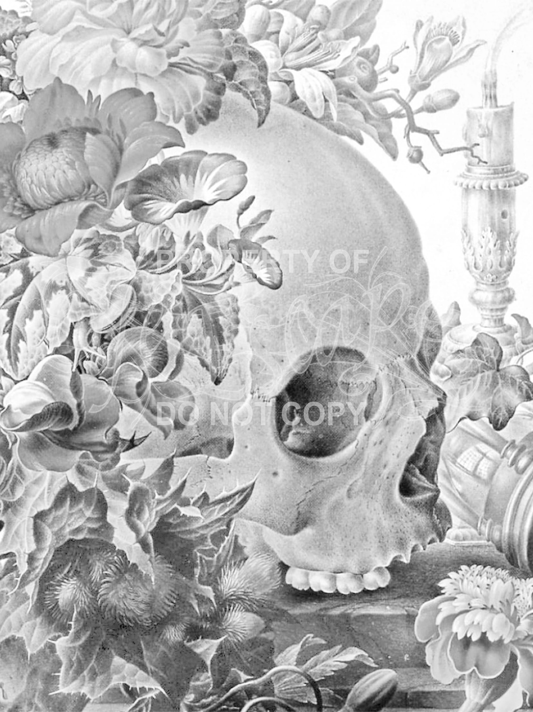 Coloring Book still Life Series 4 Sampler 10 Grayscale Coloring Pages ...