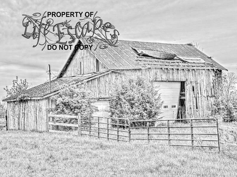 Coloring Book rustic Country Coloring Pages for Adults. - Etsy Canada