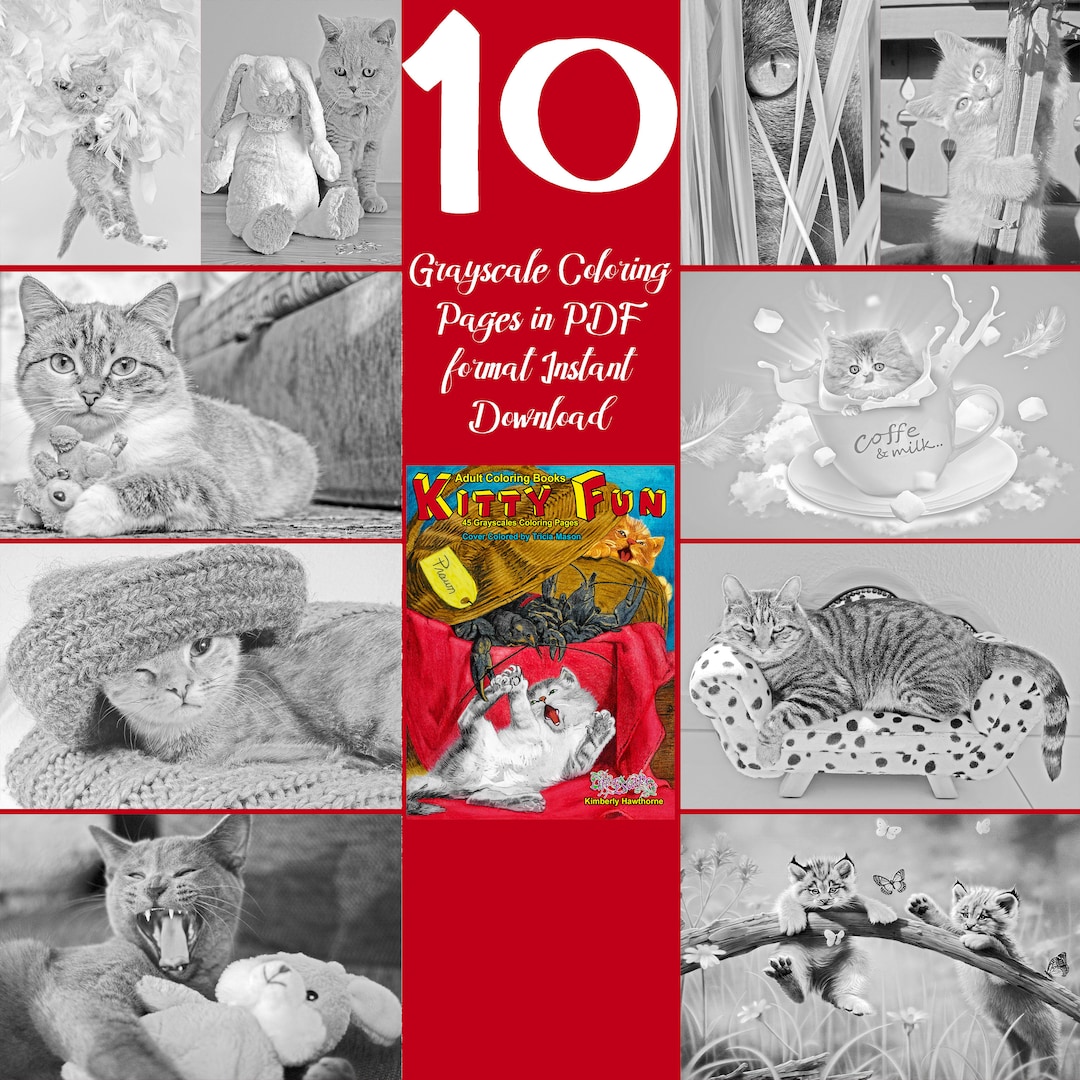 Coloring Book Kitty Fun Coloring Pages For Adults Grayscale Etsy coloring-book-kitty-fun-coloring-pages-for-adults-grayscale-etsy
