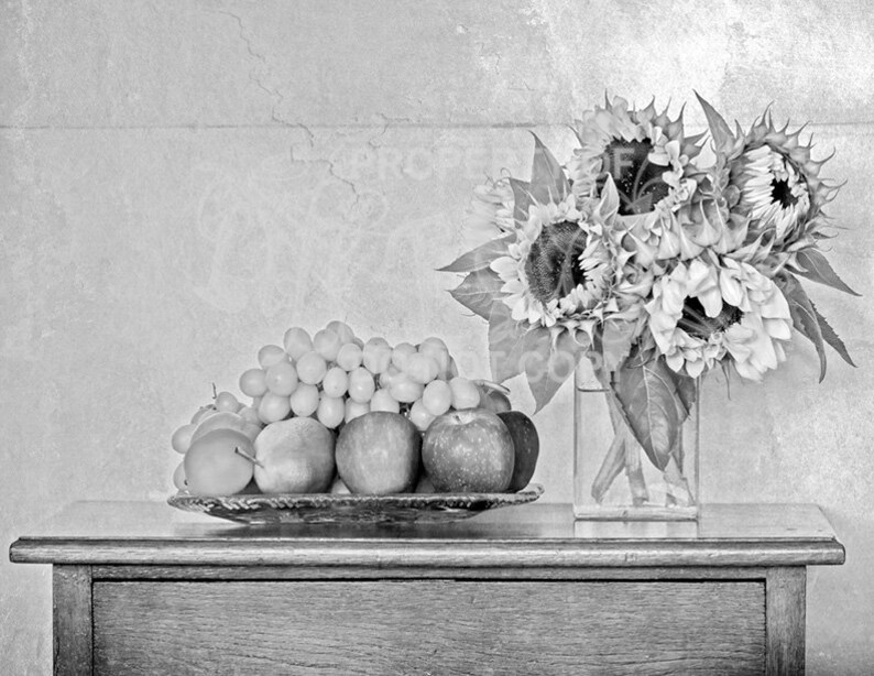 Coloring Book still Life 3 Coloring Pages for Adults. - Etsy Canada