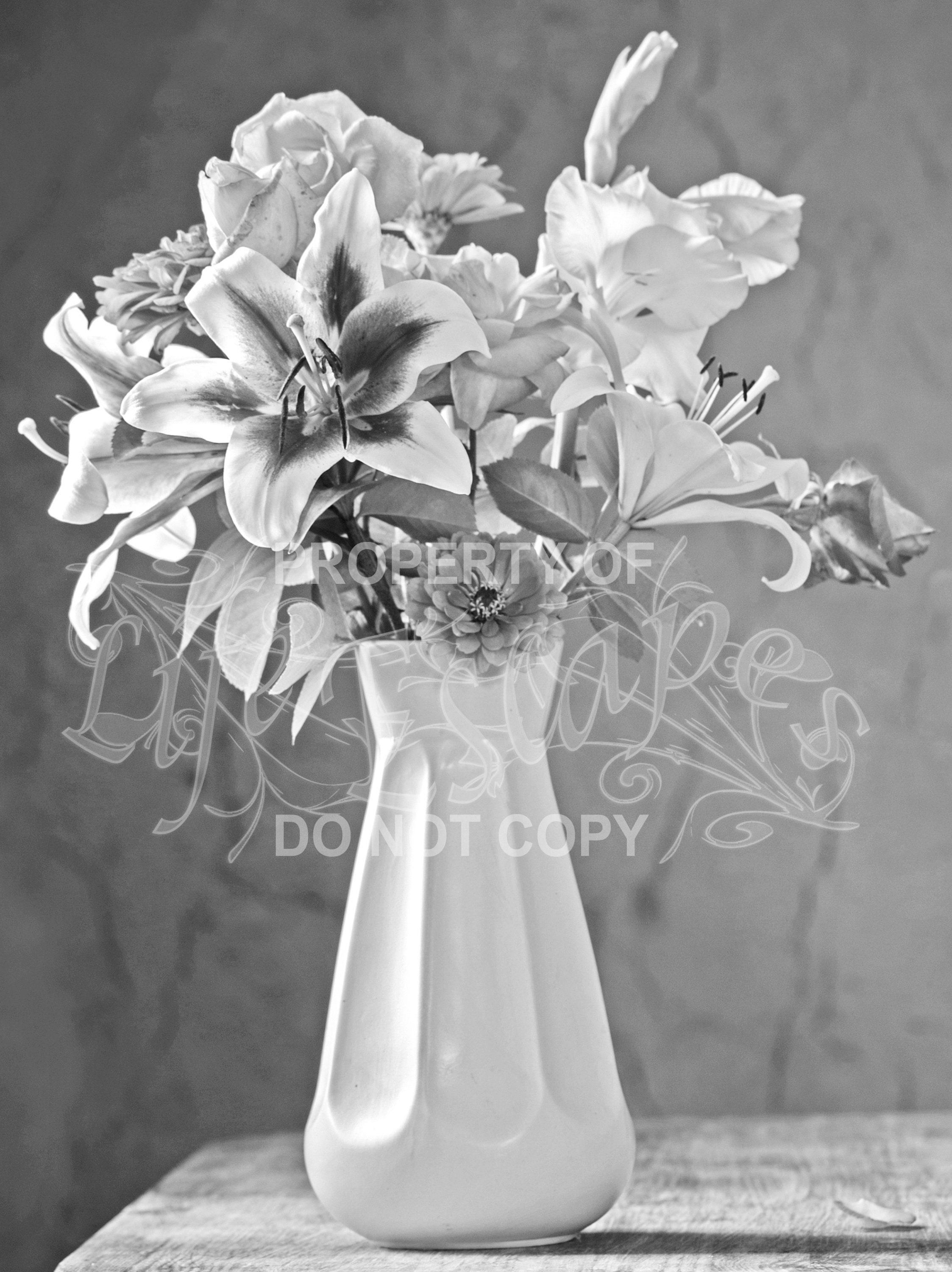 Coloring Book still Life Series 4 Sampler 10 Grayscale | Etsy