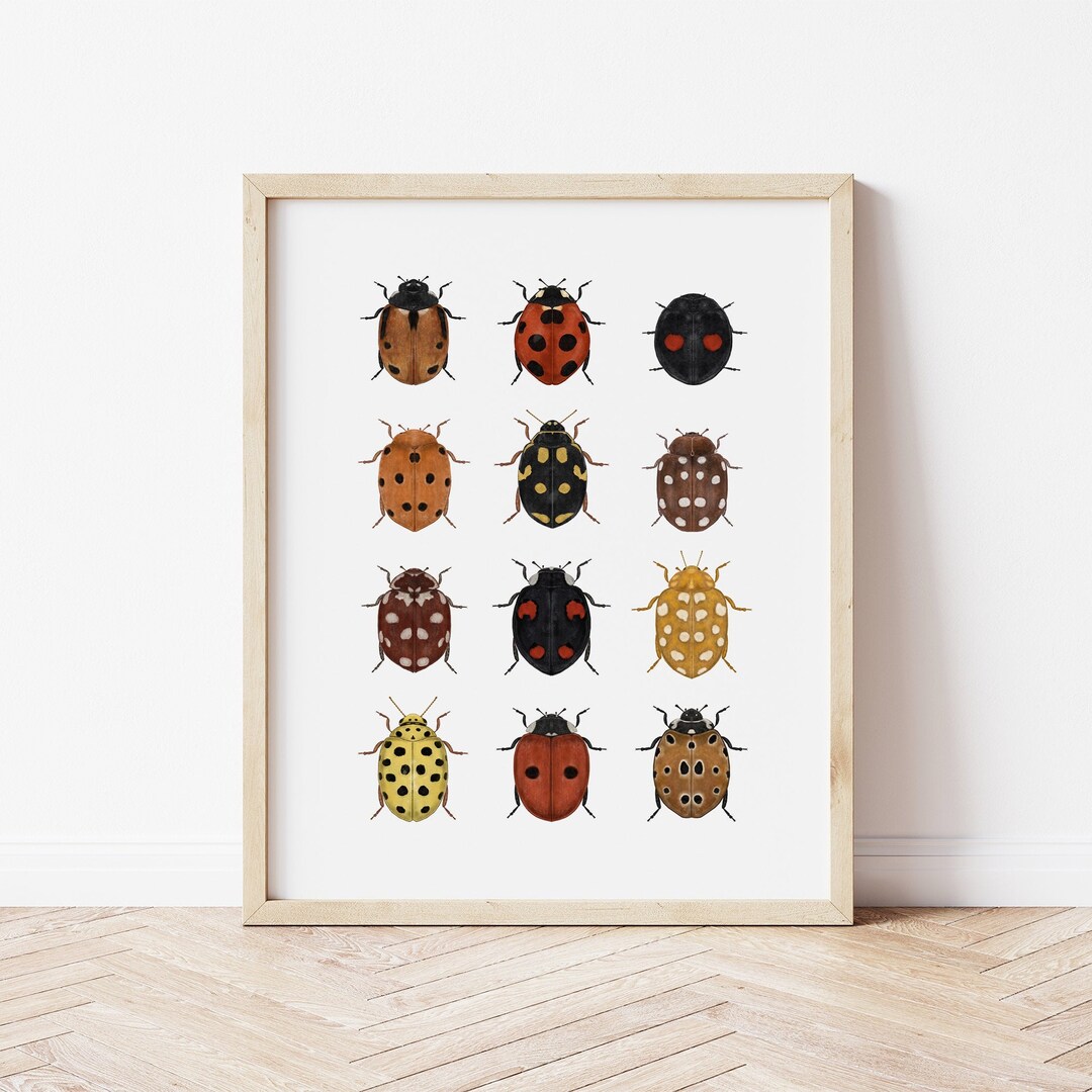 Ladybird Print Ladybug Print British Ladybirds Insect - Etsy