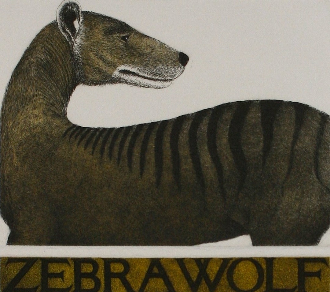 Zebra Wolf Two Plate Etching and Aquatint With Hand-etched - Etsy