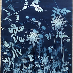 A3 Midnight Garden Cyanotype #2 Original - Etsy