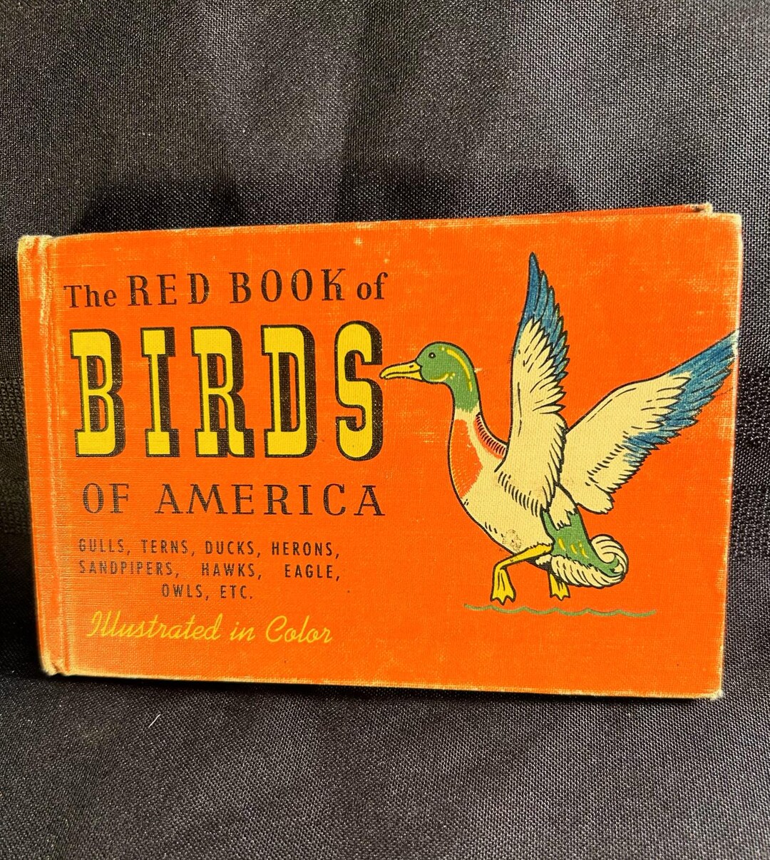 Vintage ‘the Red Book of Birds of America’ - Etsy