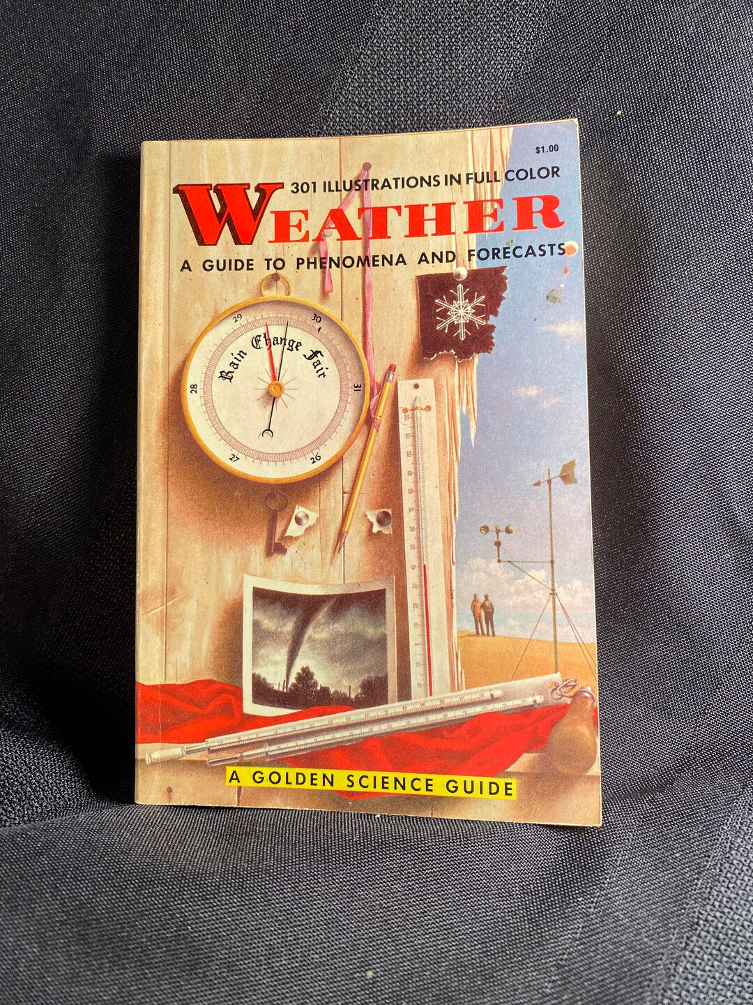 Golden Science Guide to Weather - Etsy