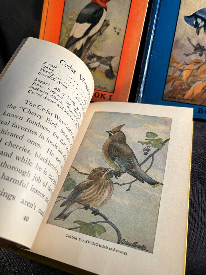 Vintage BIRDS Book Set Volumes I, II, & III Ornithology Collectibles - Etsy