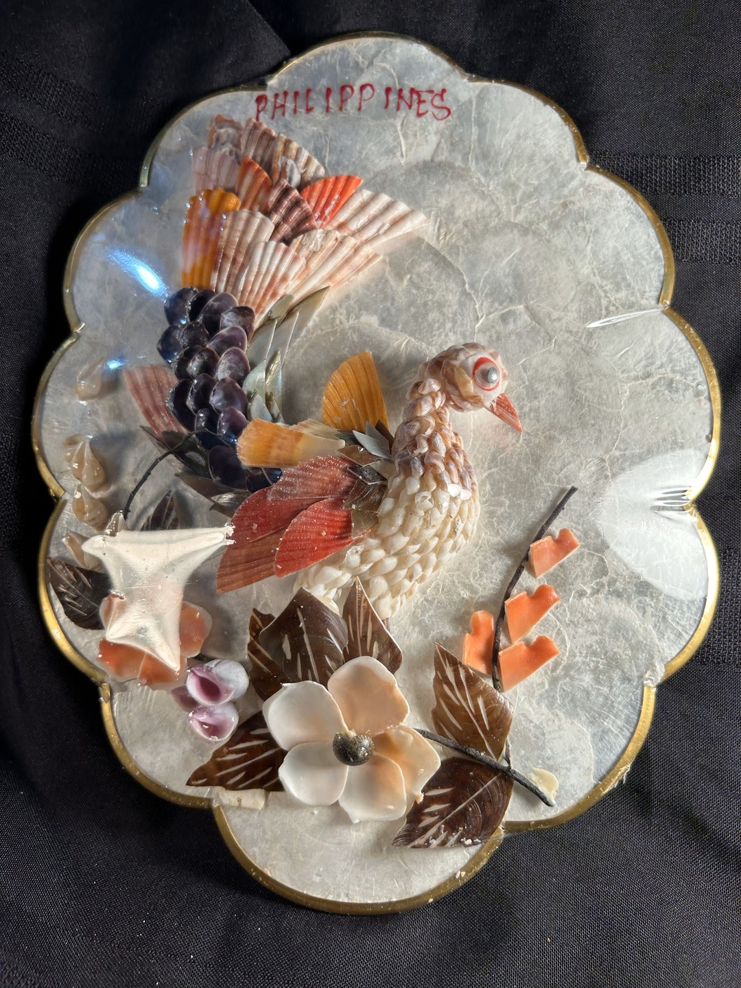 Phillipines Bird Shell Art - Etsy