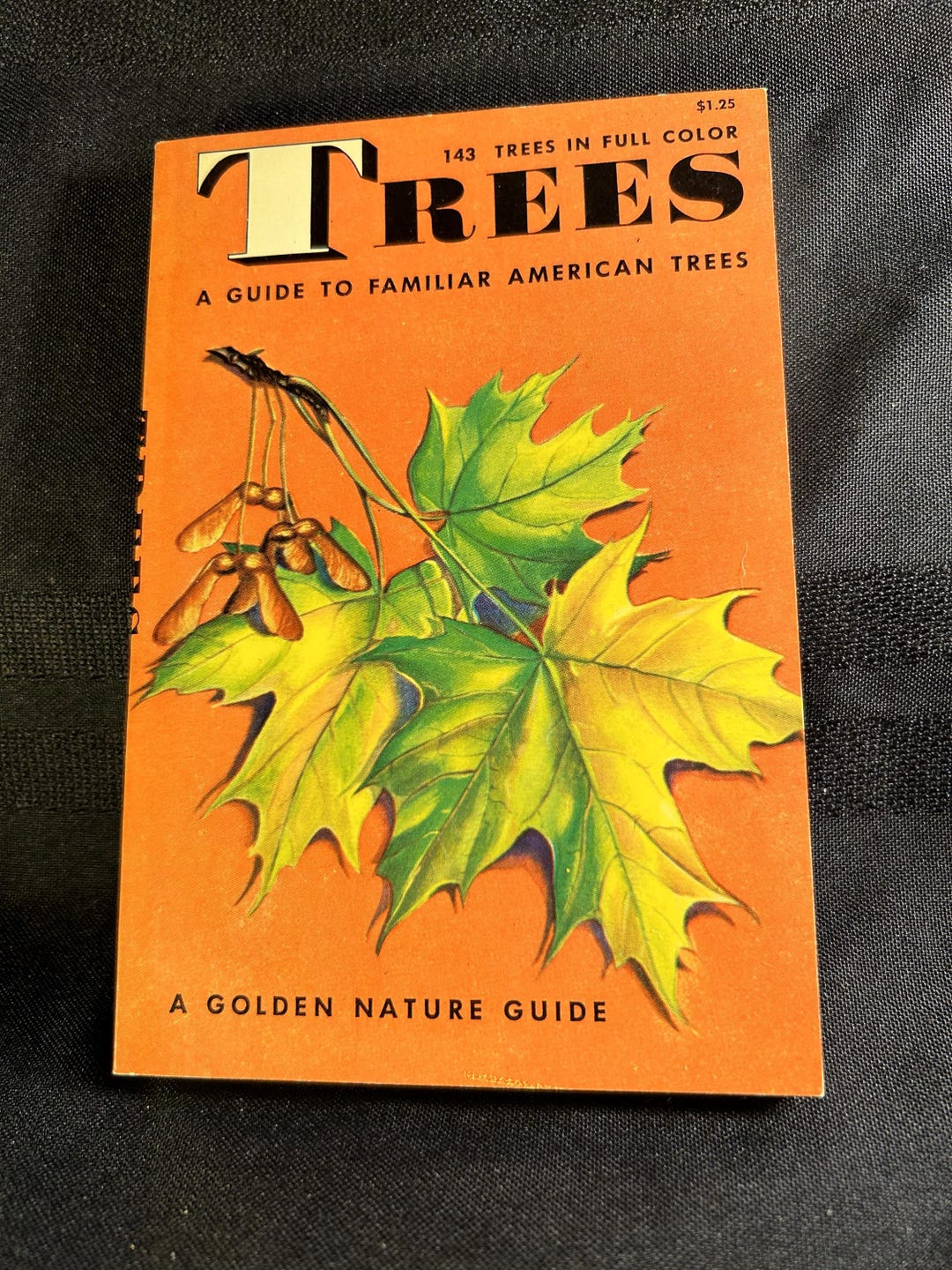 Vintage Golden Nature Guide: “TREES - A Guide to Familiar American ...