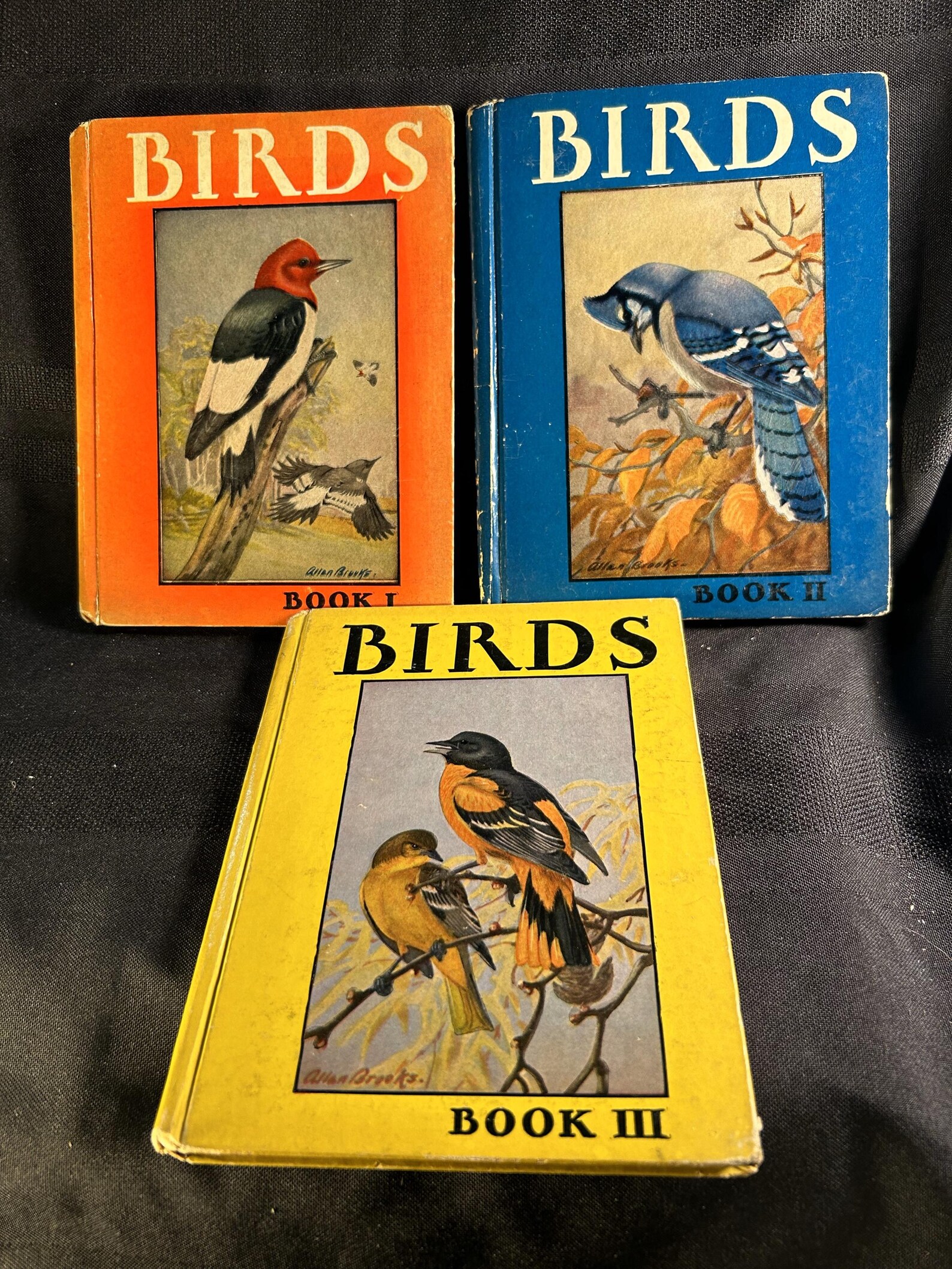Vintage BIRDS Book Set Volumes I, II, & III Ornithology Collectibles - Etsy