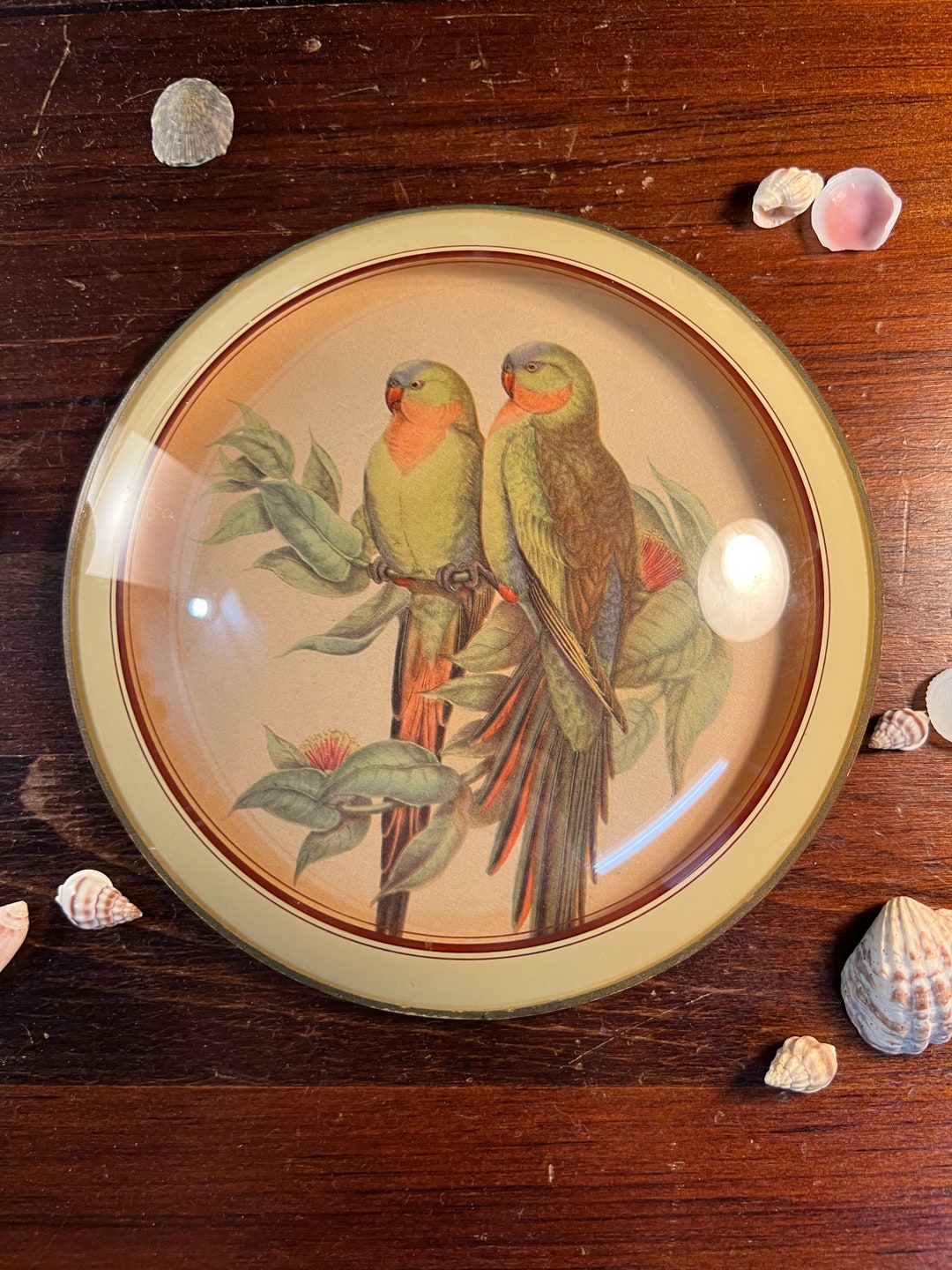 Peter Watson Studio Hand Painted Birds - Etsy