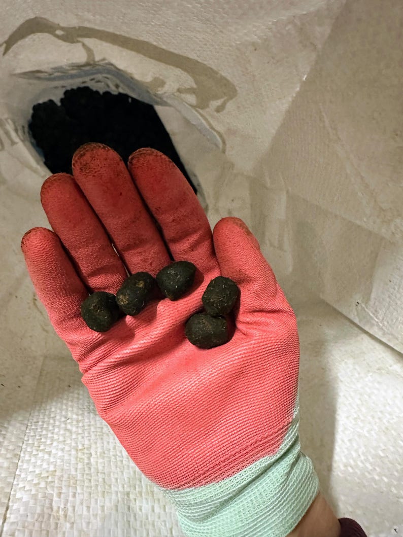 8 Oz. Bag of Organic Seed Starter Fertilizer Transplanting and Starting ...