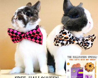 Pet rabbit clothing | Etsy