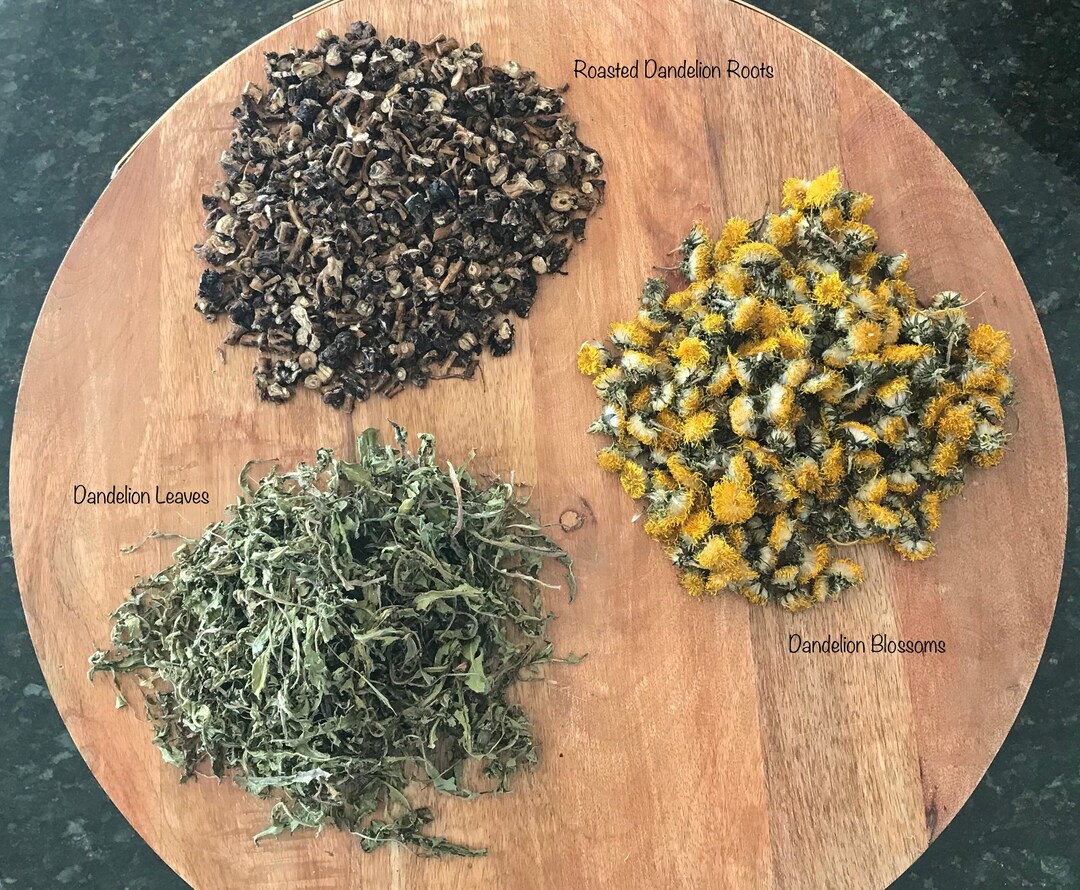 Fresh Harvest ORGANIC Dried DANDELION Blossoms, Leaves, Organic Roasted ...