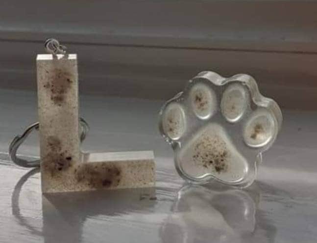 Pet Memorial Paw Keepsake Resin Pet Ashes Beloved Pets Dogs - Etsy