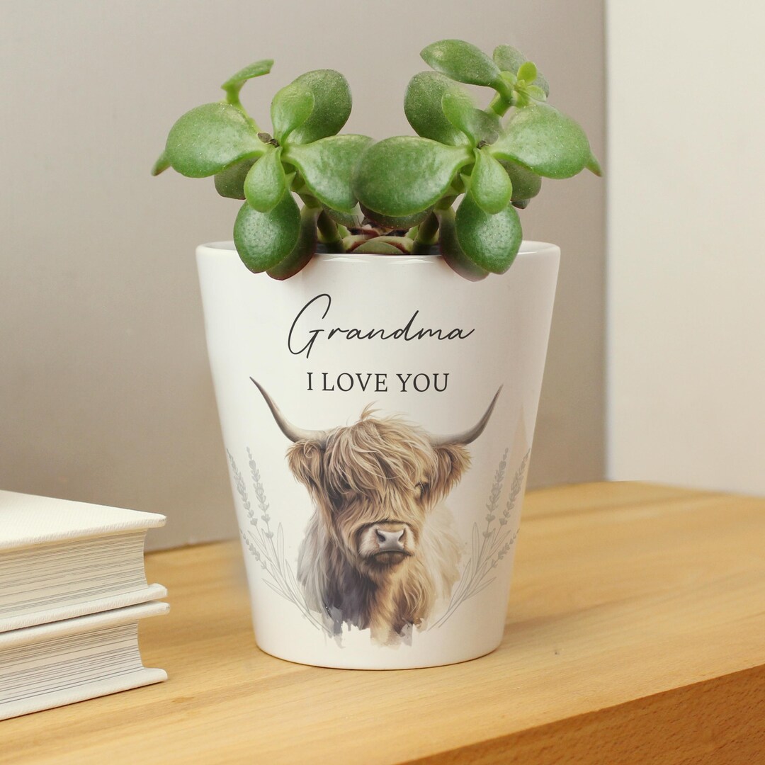 Personalised Plant Pot. Highland Cow Ceramic Pot. Indoor Plant Pot. - Etsy