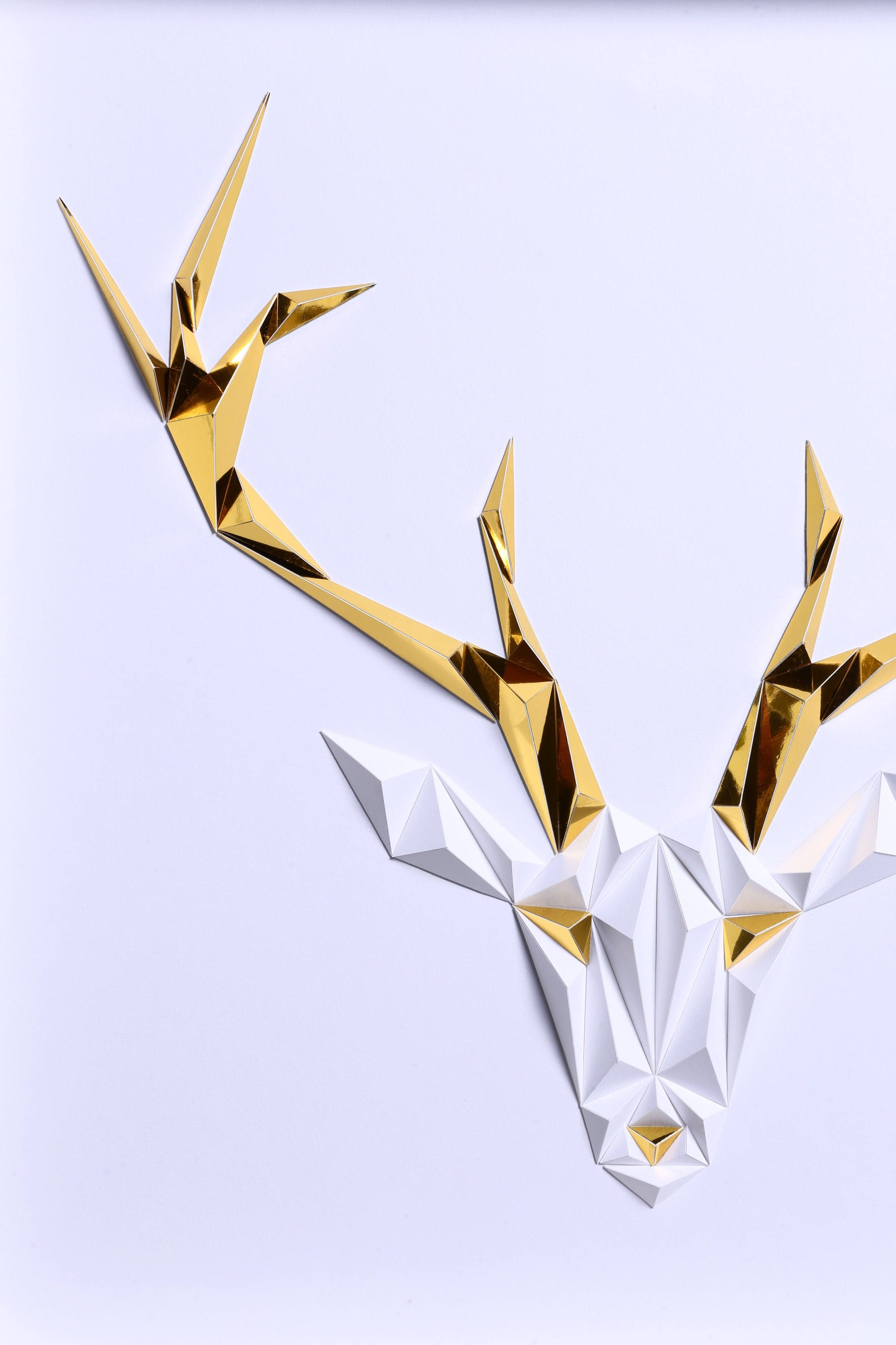 GOLDEN ANTLERS, White Gold, Paper Artwork, 50x50 Cm, Modern Wall Decor ...