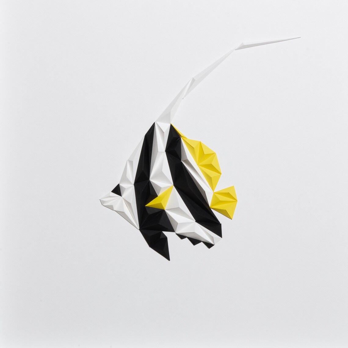 PENNANT CORALFISH, Paper Art, 50x50 Cm, Artwork, Minimal, Geometric Art ...