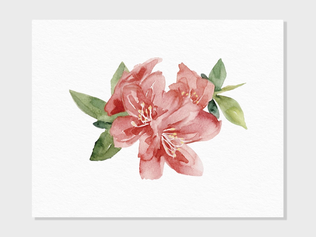 Watercolor Azalea Floral Print | Flower Wall Art, Red Pink Azalea ...