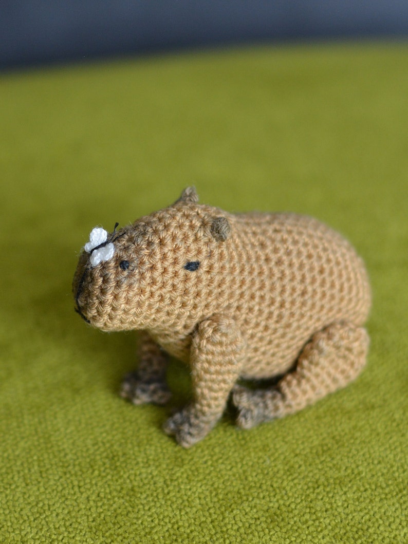 Capybara Crochet Pattern Amigurumi Capybara Tutorial DIY - Etsy