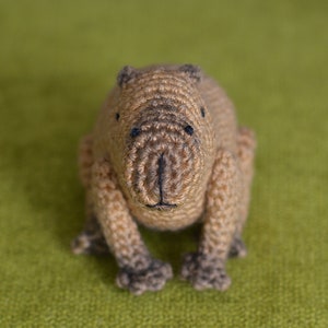 Capybara Crochet Pattern, Amigurumi Capybara Tutorial, DIY Crochet Mini ...