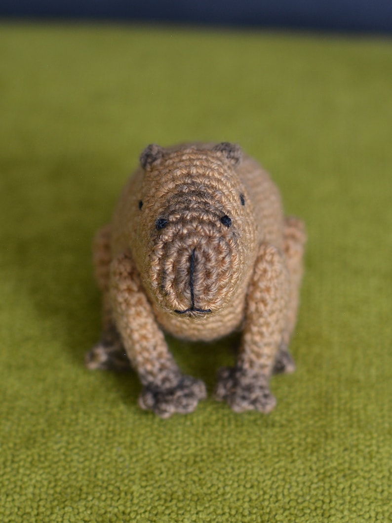 Capybara Crochet Pattern, Amigurumi Capybara Tutorial, DIY Crochet Mini ...