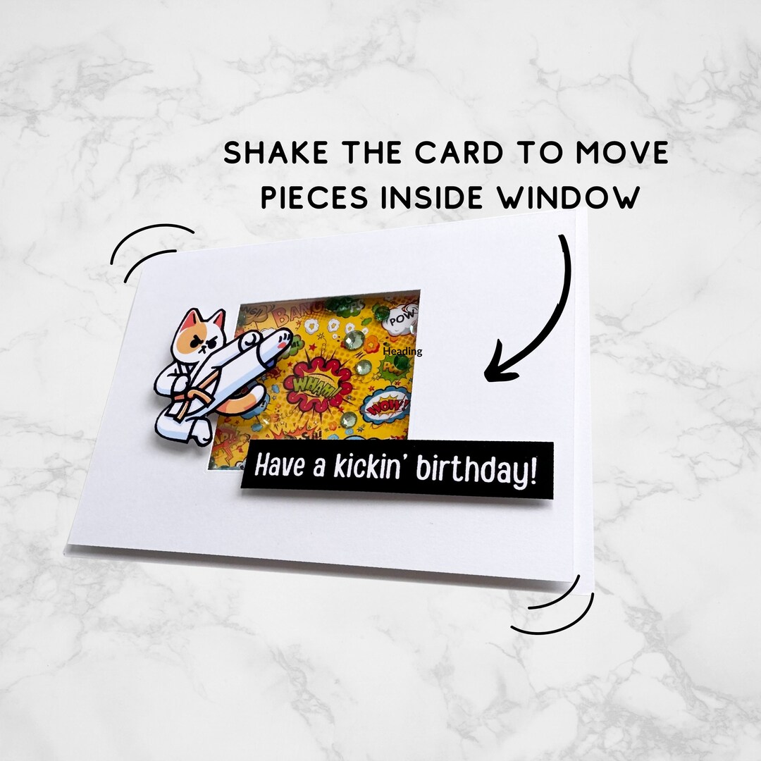 Happy Birthday Martial Arts Greeting Card, Kicking Karate Shaker, Take ...