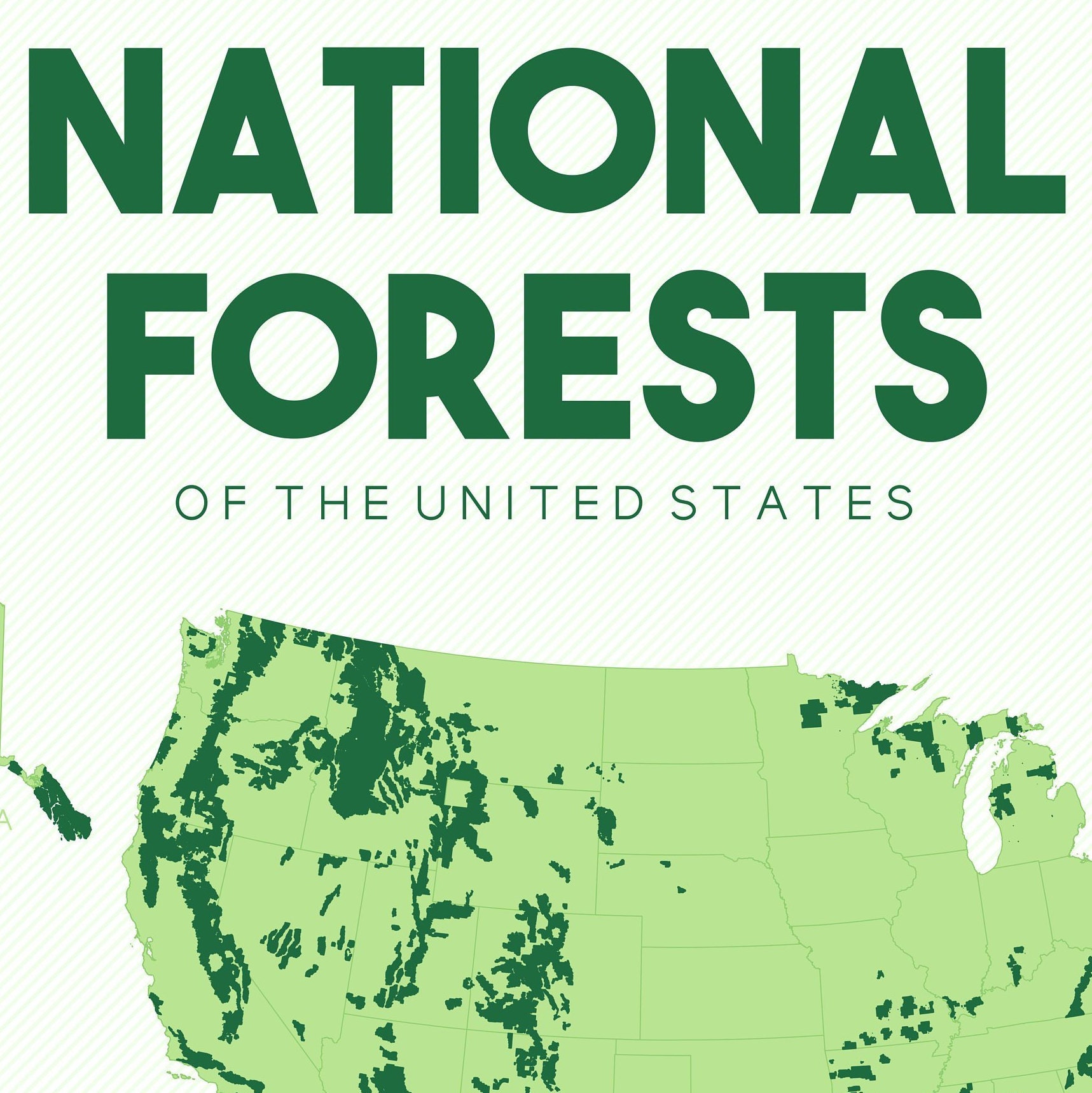 National Forests Map Printable 16x20 Gift for - Etsy