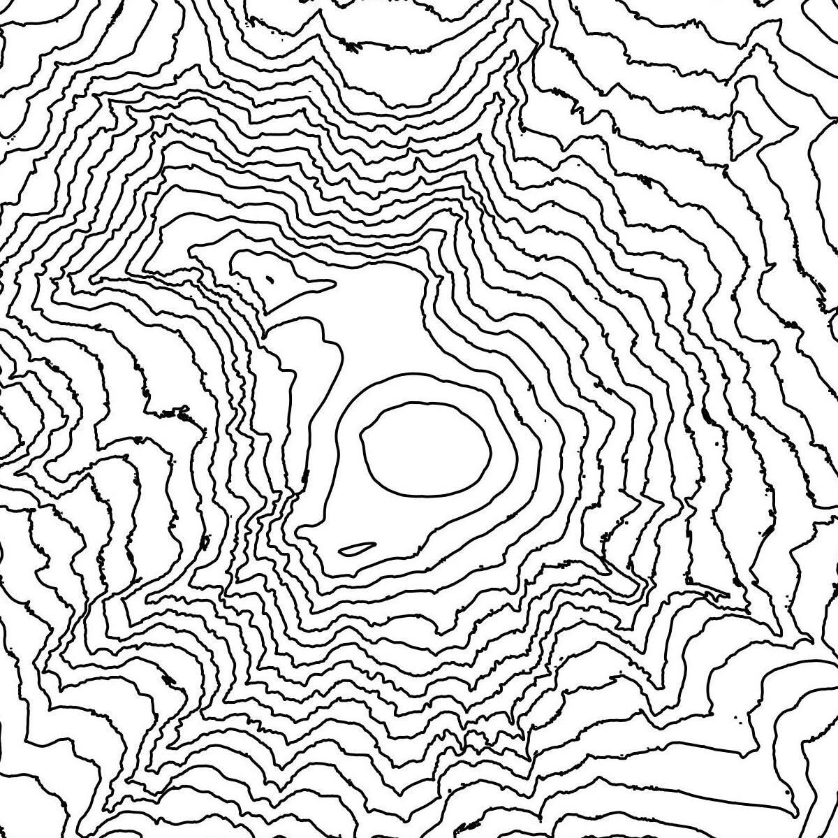 Mount Rainier Printable Topographic Map 16x20 Mt Rainier Map - Etsy