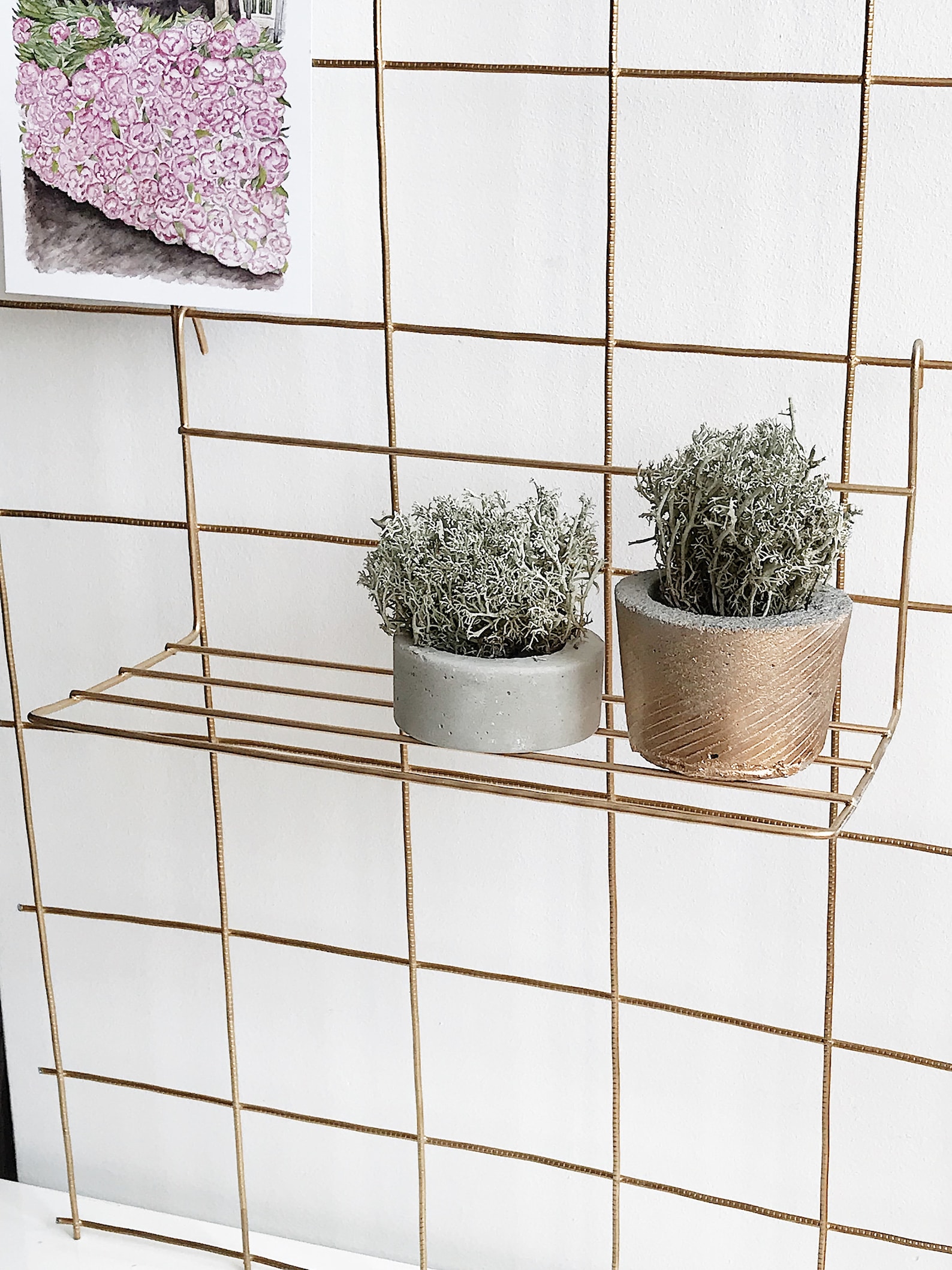 Gold Shelf for Wire Wall Grid, Golden Small Straight Shelf Rack for ...