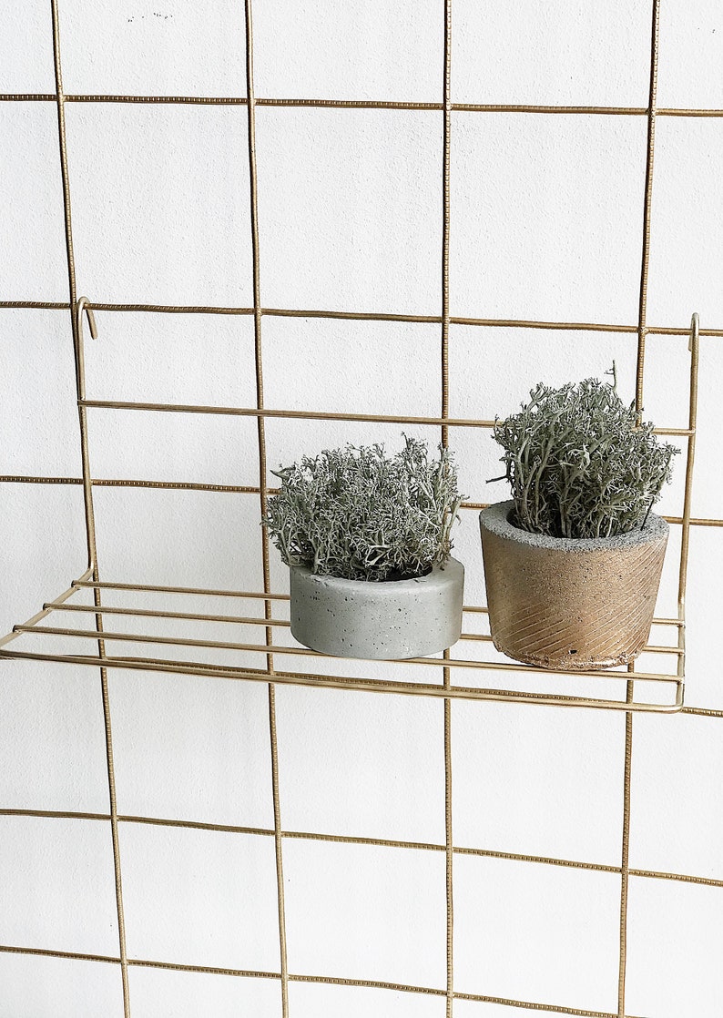 Gold Wire Wall Grid FREE Clips School Gold Photo Mesh Memo - Etsy UK