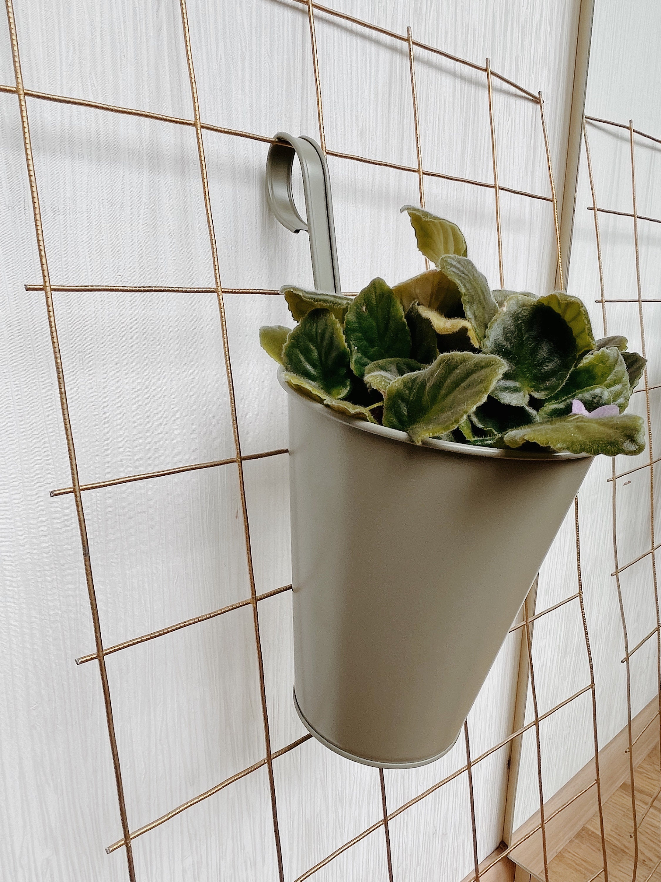 Large Wire Wall Grid Wall Grid for Plants Mesh Memo Board - Etsy