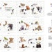 Alphabet Animals Polka Dot Book Panels - Etsy