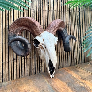 ram skull wall mount