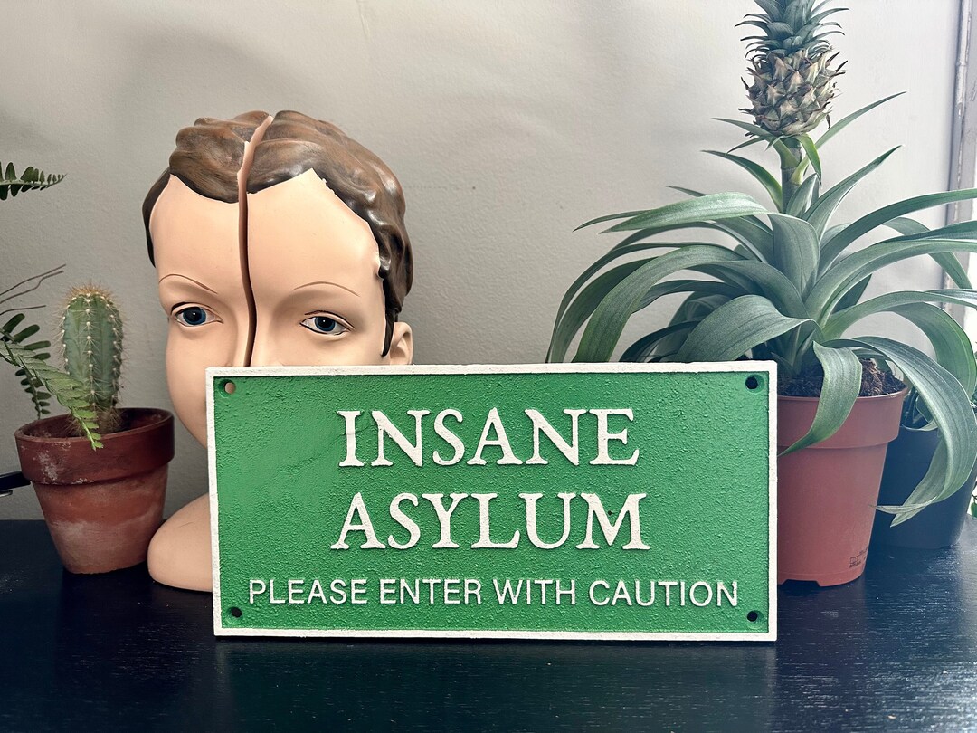 Insane Asylum Wall Sign: Retro Green Wall Plaque | Secret Santa Gift - Etsy
