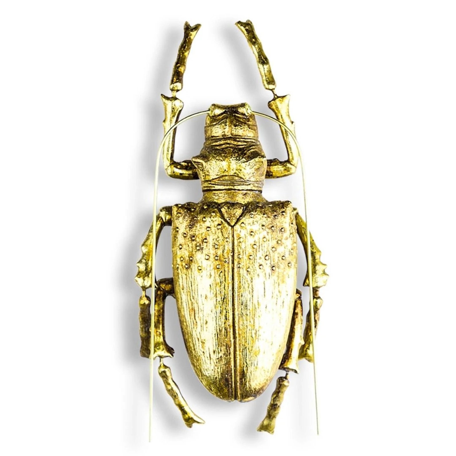 Quirky Large Gold Beetle Wall Decor Gallery Wall Decor - Etsy