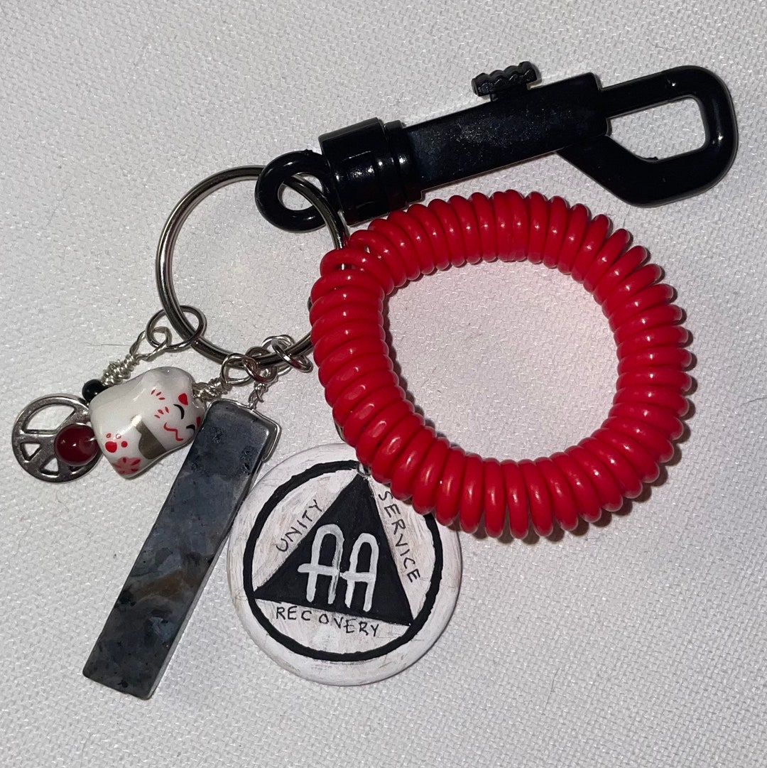 Custom AA Keychain + Charms - Etsy