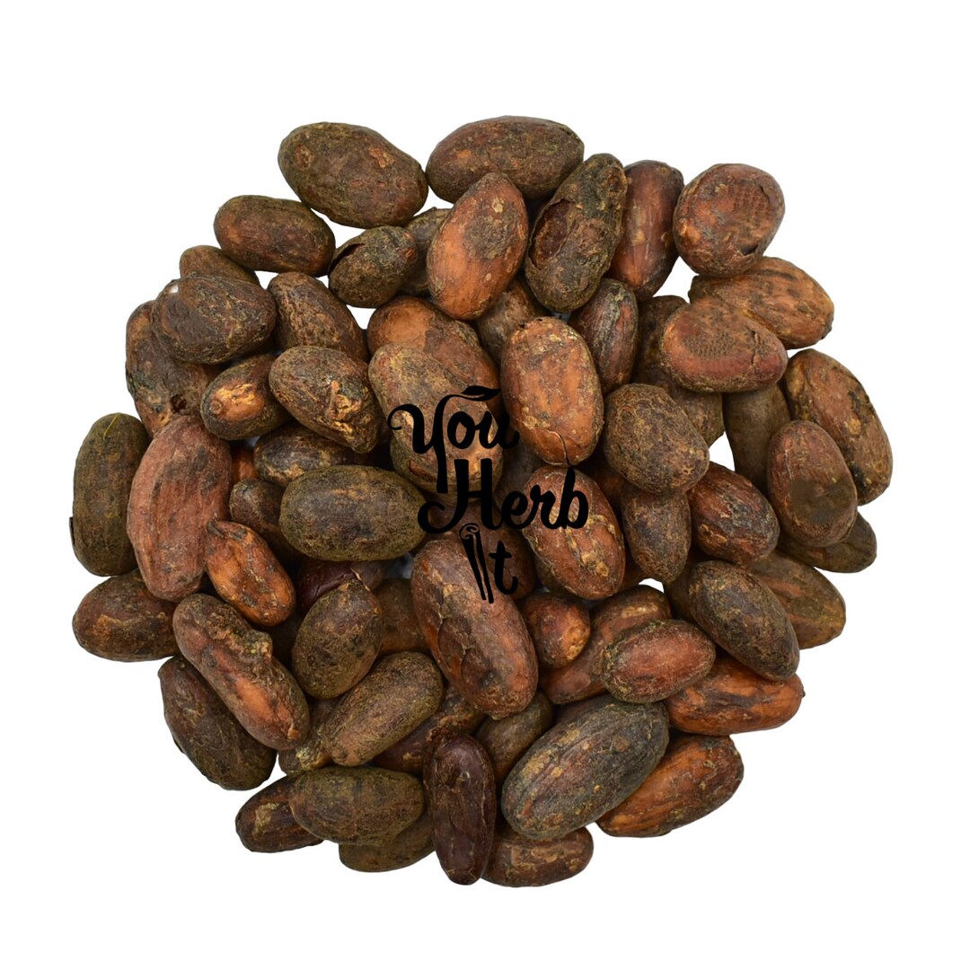 Granos de Cacao Entero Criollo Crudo Orgánico Theobroma Cacao - Etsy España